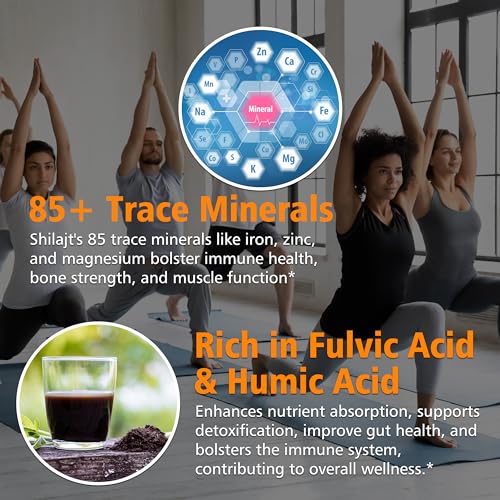 shilajit for overall wellness benefits