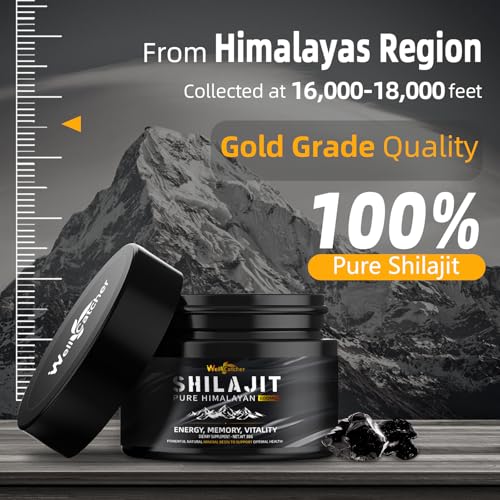 shilajit for overall wellness support