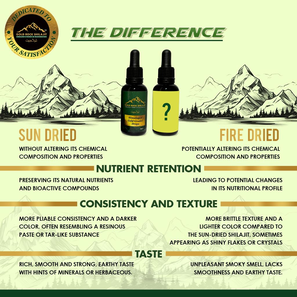 shilajit for overall wellness