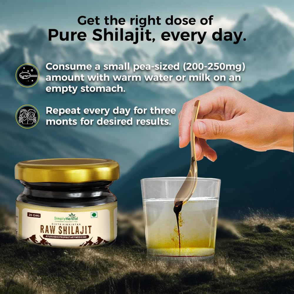 shilajit for overall wellness
