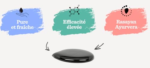 Shilajit for overall wellness