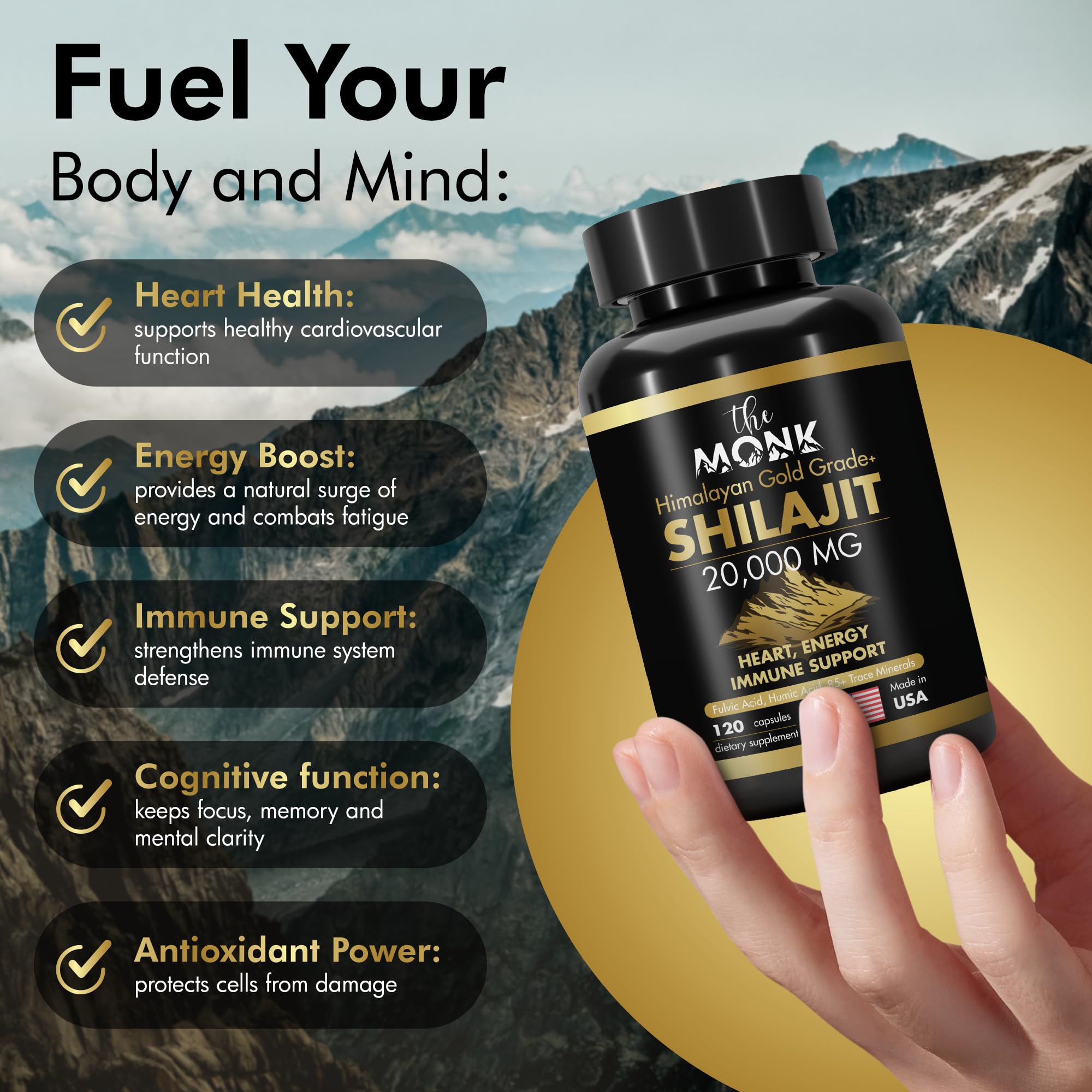 shilajit for overall wellness