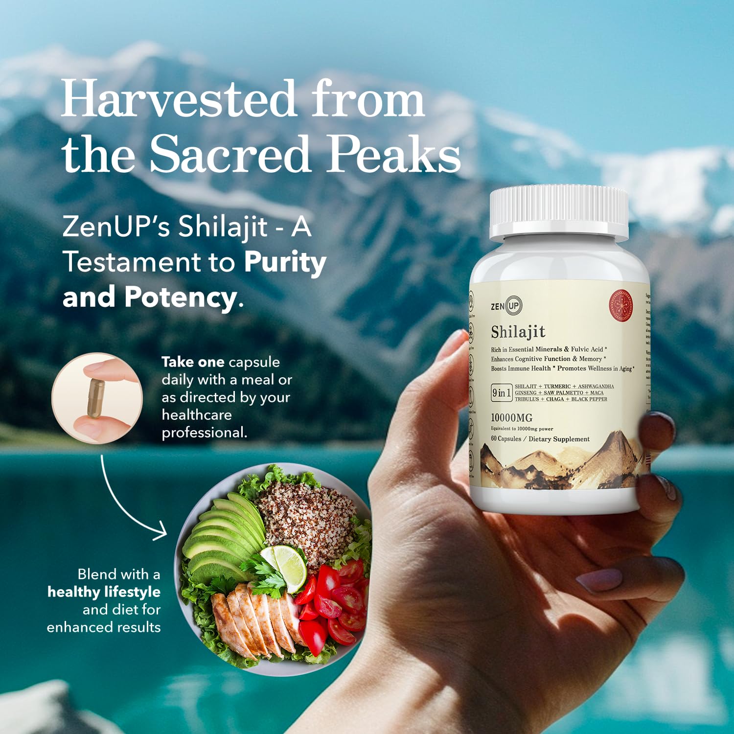 shilajit for overall wellness