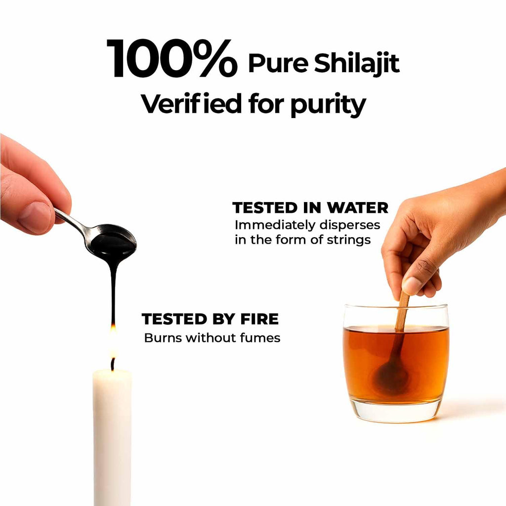 shilajit for stress management