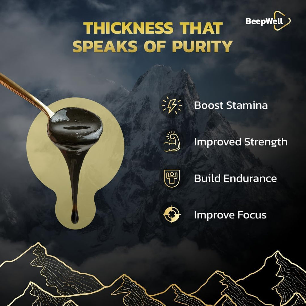 shilajit for stress relief and focus