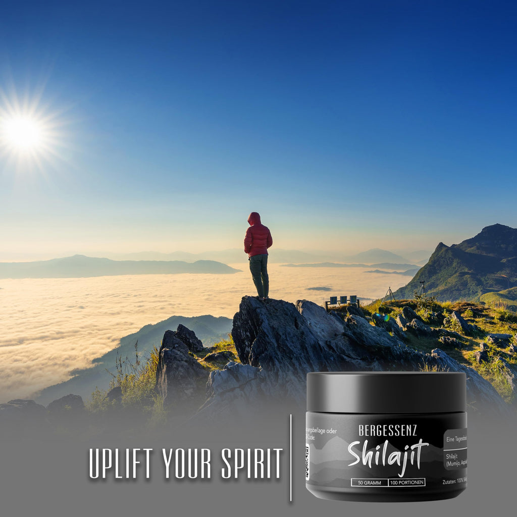 shilajit for stress relief
