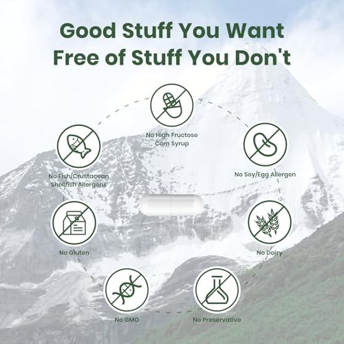 shilajit for vitality and strength