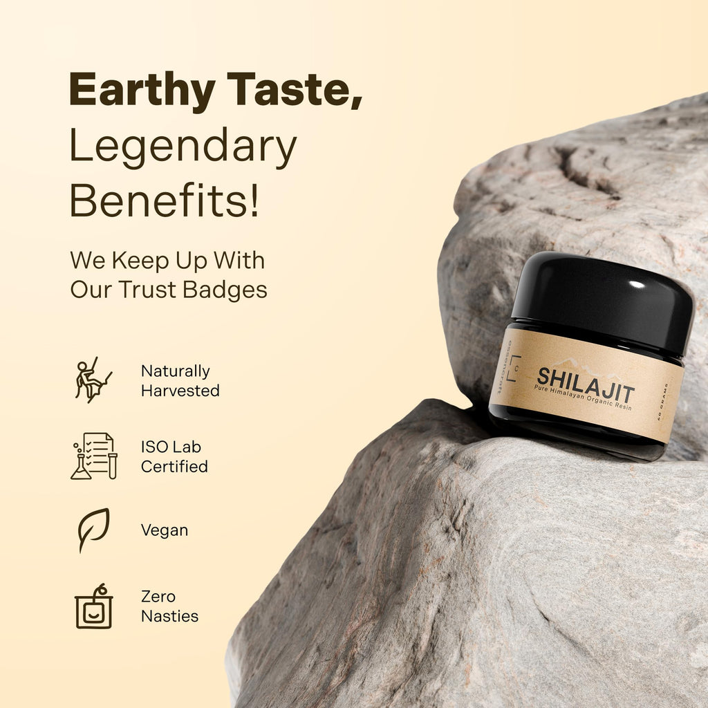 shilajit for vitality and wellness