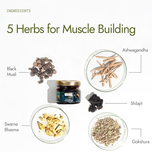 Shilajit Gold for immune support