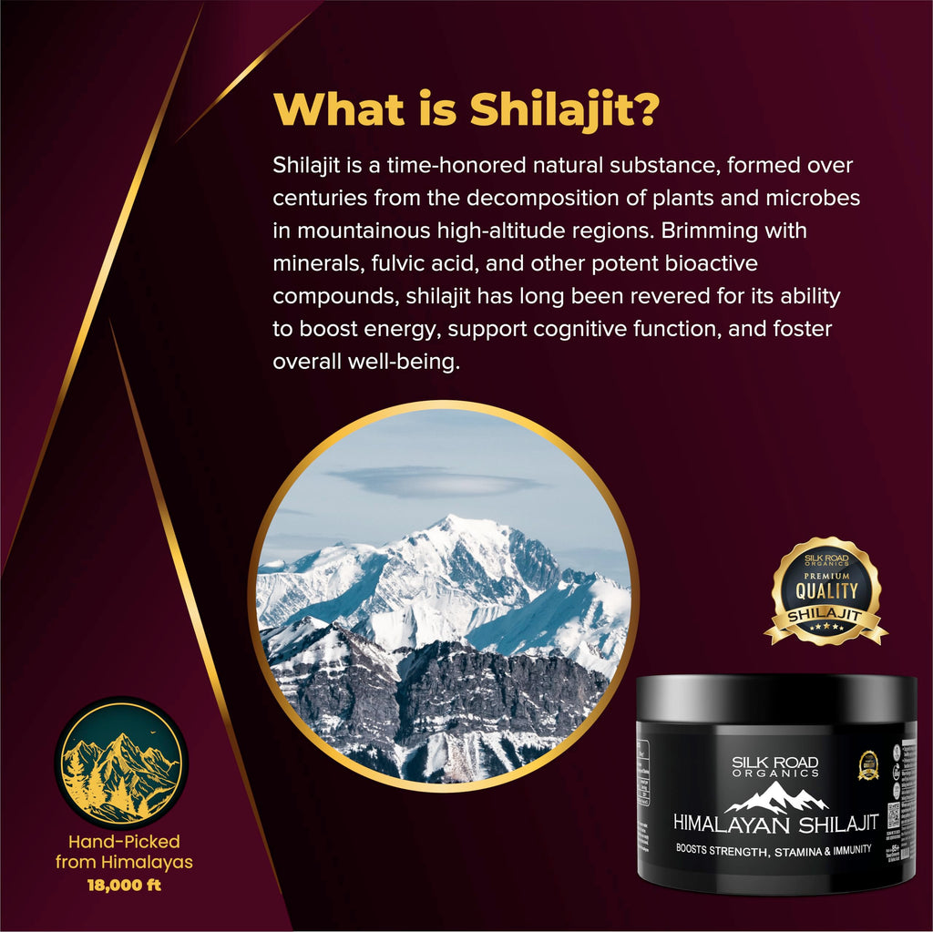shilajit gold for mental focus