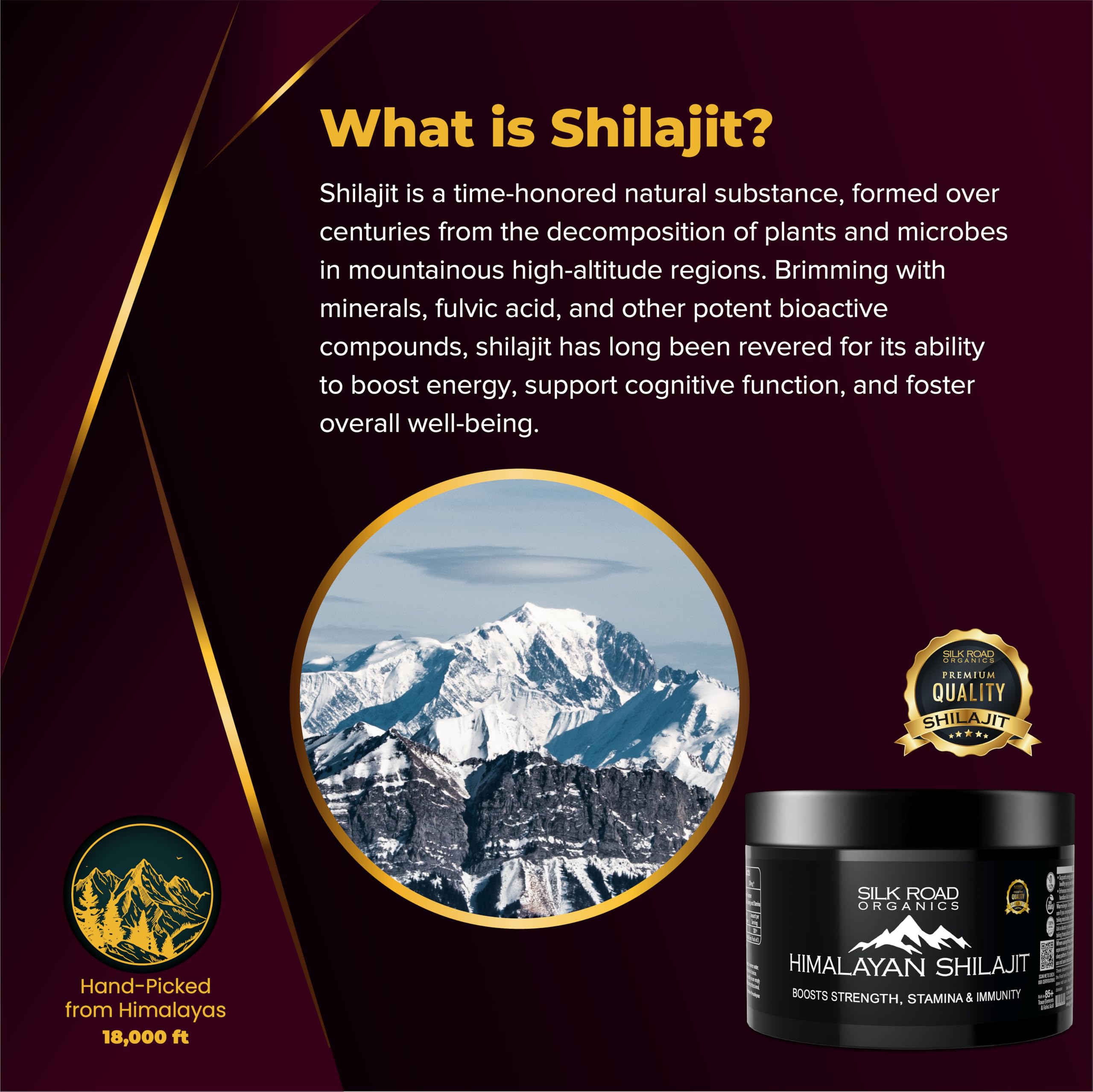 shilajit gold for mental focus