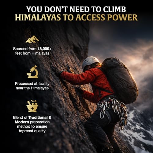 shilajit gummies for better focus