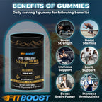 Shilajit gummies for daily health support