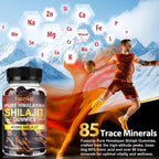 Shilajit gummies for daily health