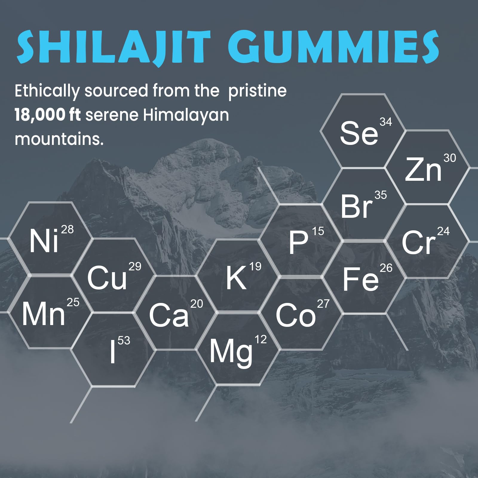 shilajit gummies for daily nutrition