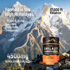 Shilajit gummies for daily nutrition