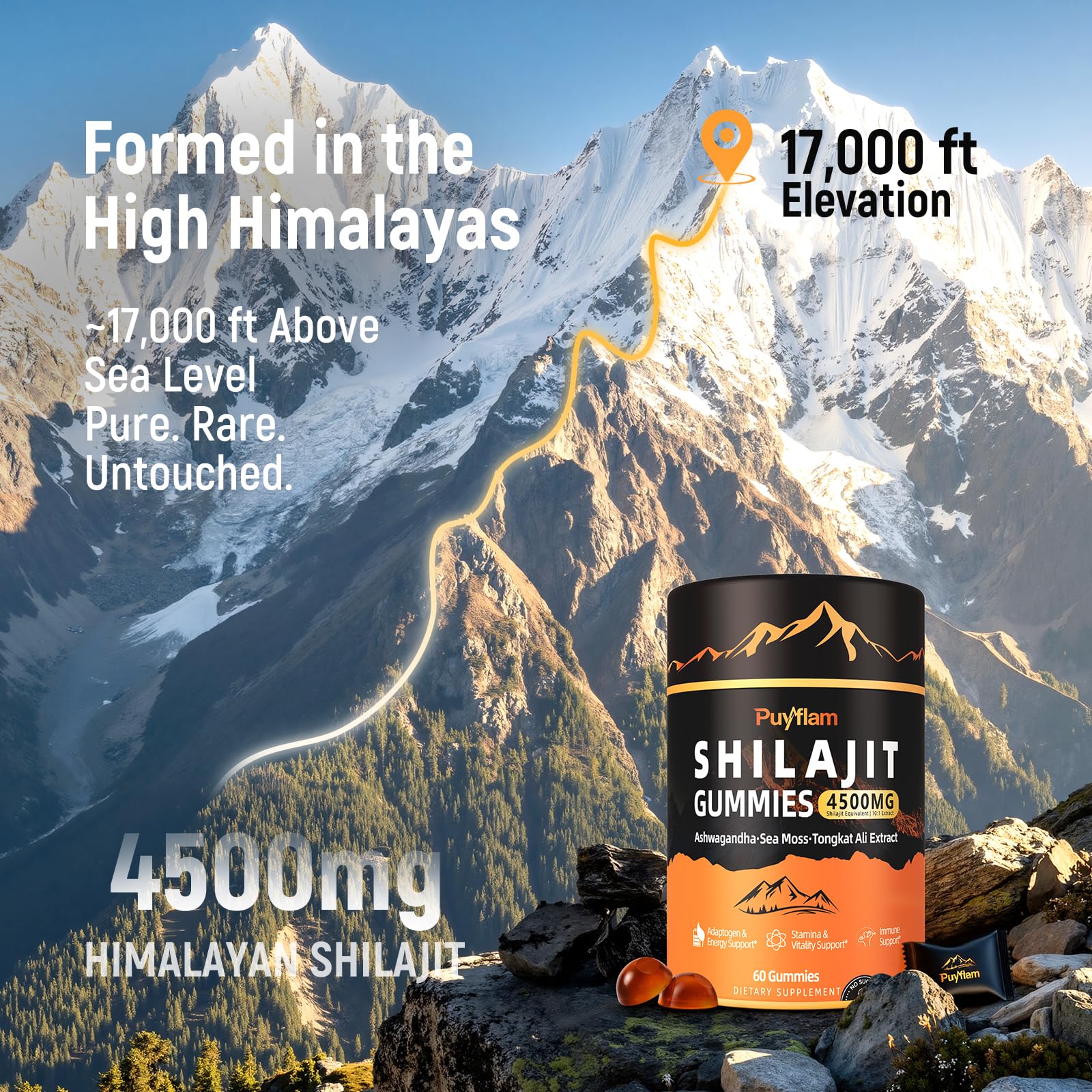 Shilajit gummies for daily nutrition