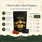 shilajit gummies for daily vitality