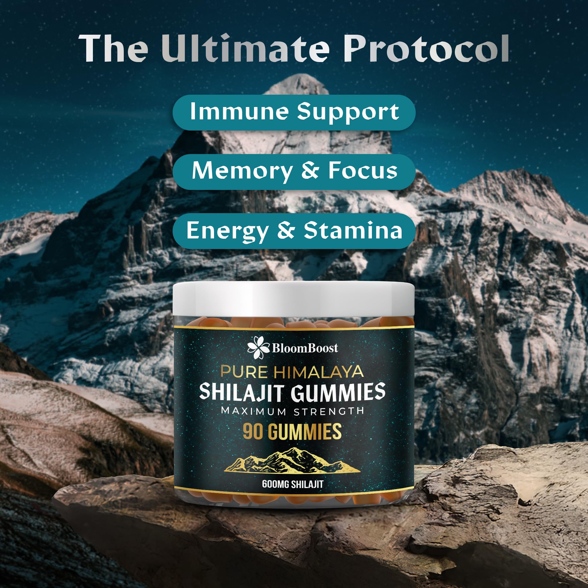 shilajit gummies for daily vitality
