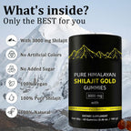shilajit gummies for daily vitality