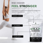 shilajit gummies for daily vitality