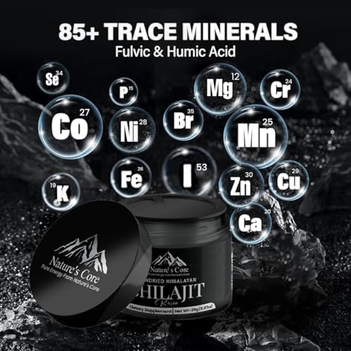 shilajit gummies for daily wellness