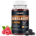 Shilajit gummies for energy boost