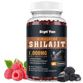 Shilajit gummies for energy boost