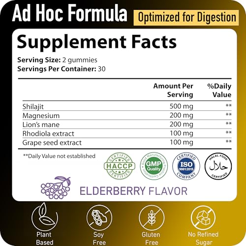 Shilajit gummies for enhanced endurance
