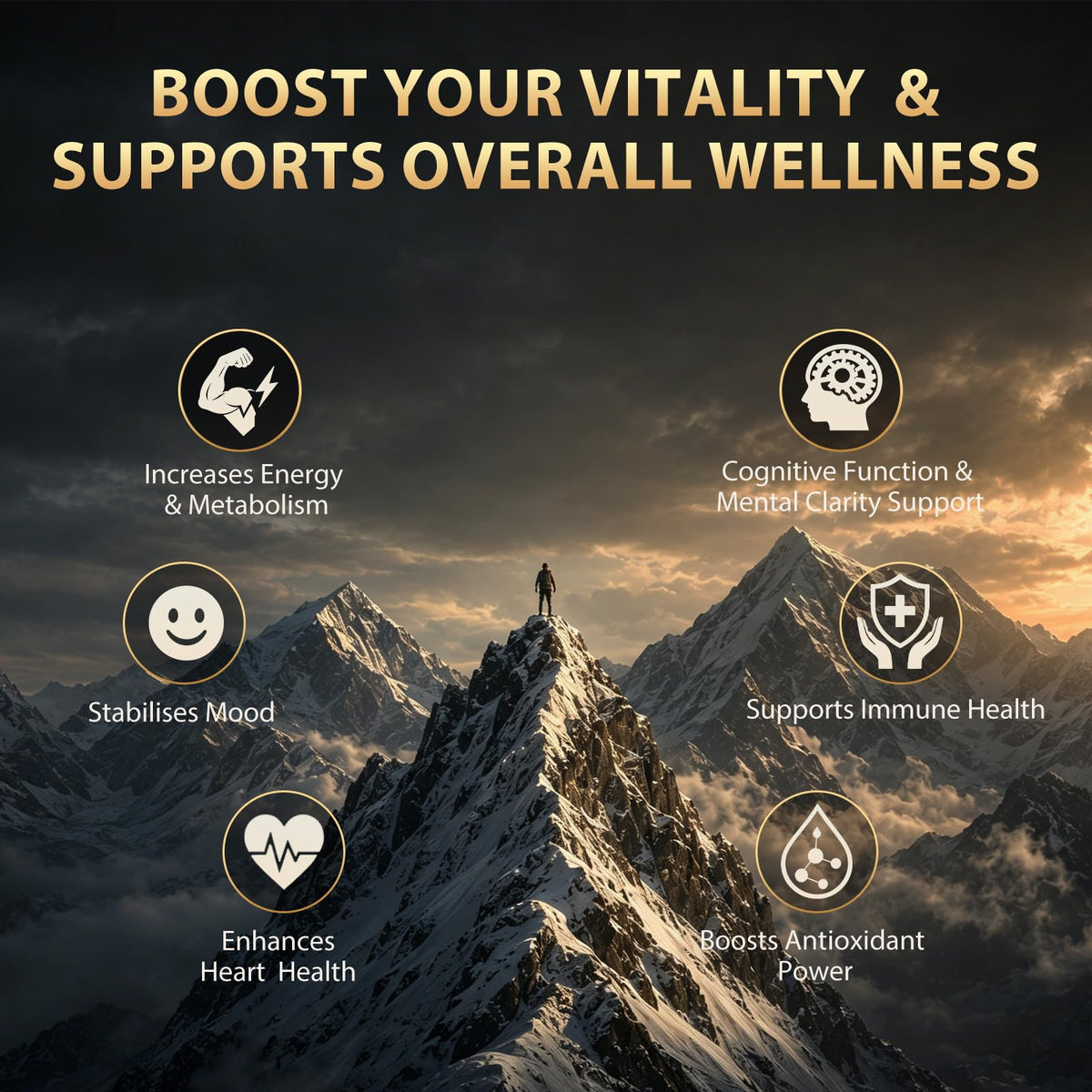 Shilajit gummies for immune support
