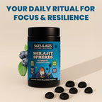 shilajit gummies for immune support