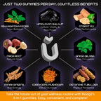 shilajit gummies for improved focus