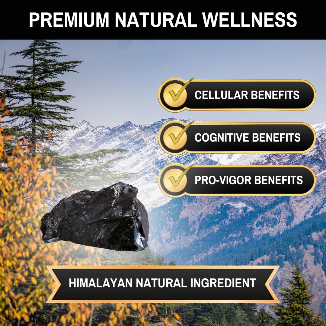 shilajit gummies for men's health