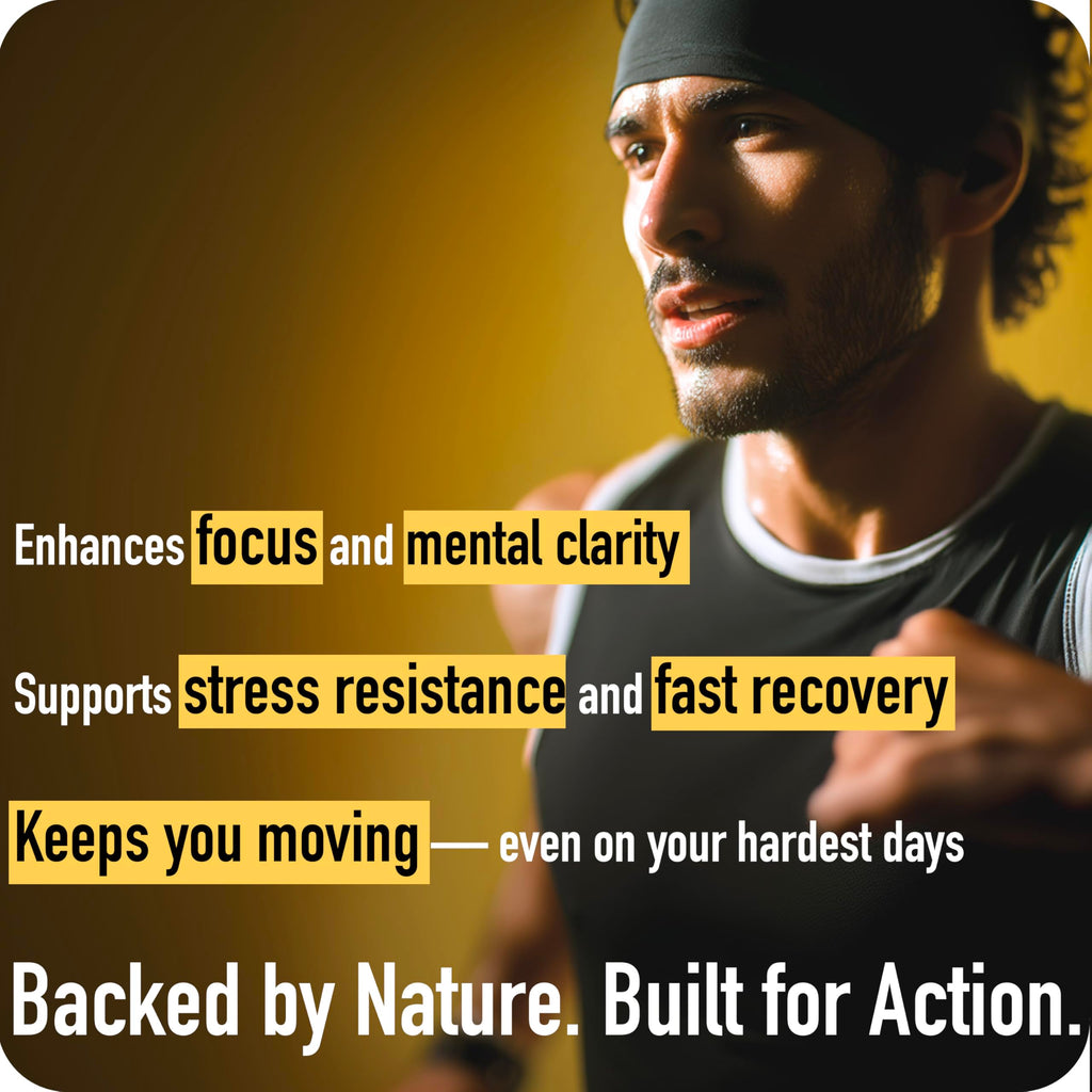 Shilajit gummies for men's health