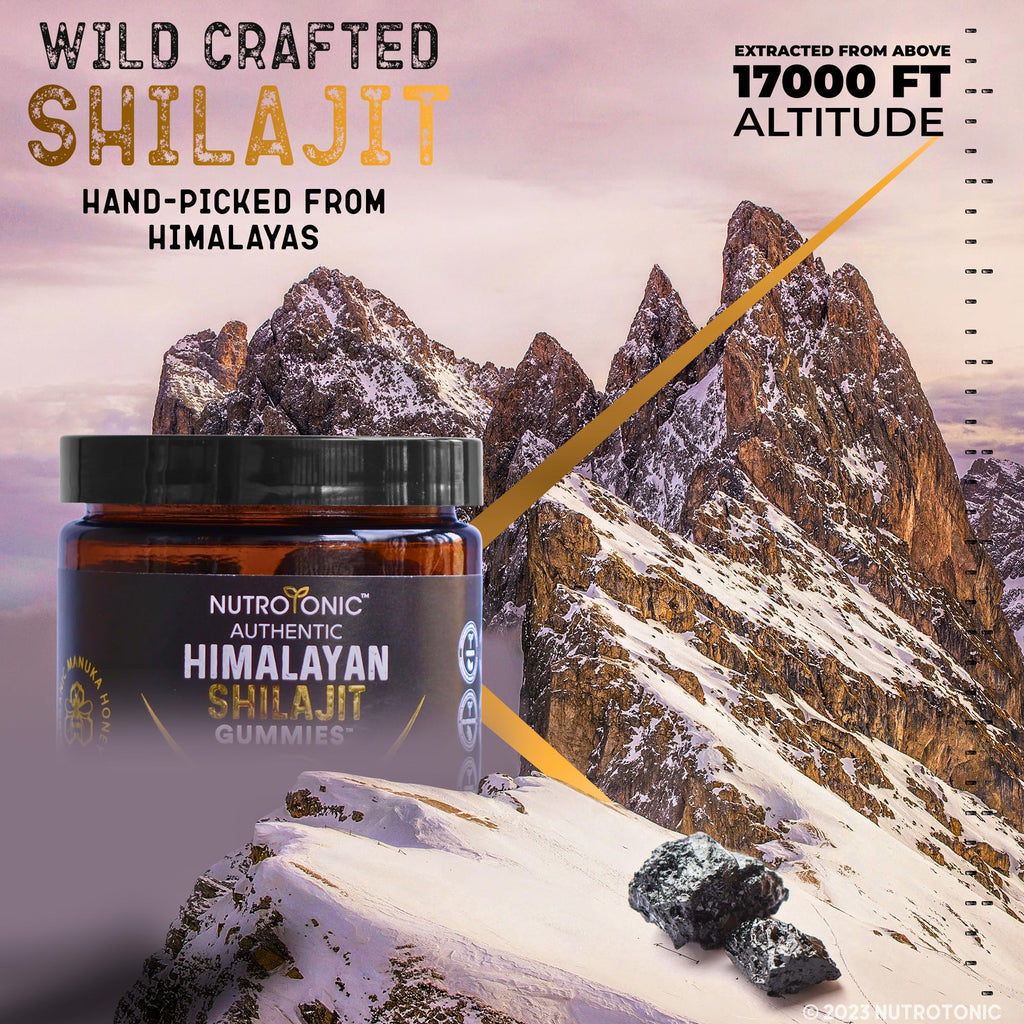shilajit gummies for mental clarity