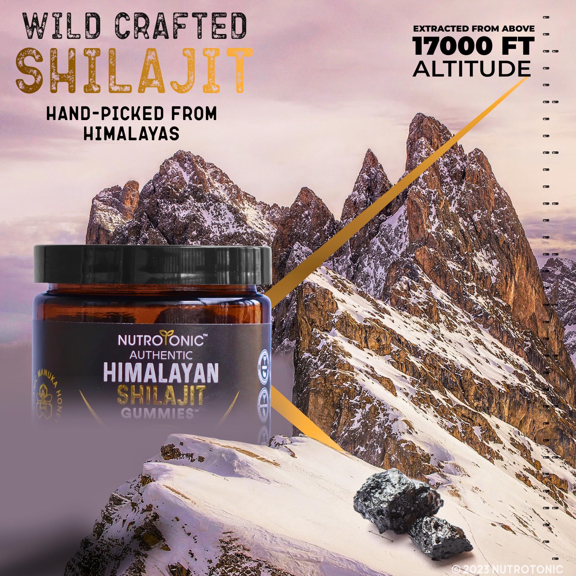 shilajit gummies for mental clarity