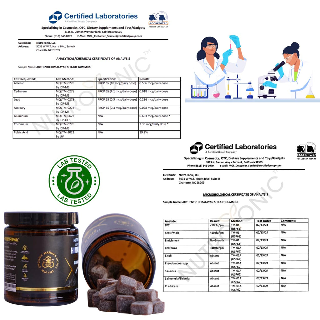 Shilajit gummies for overall well-being