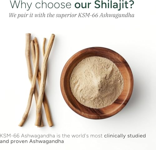shilajit gummies for overall wellness