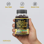 shilajit gummies for overall wellness