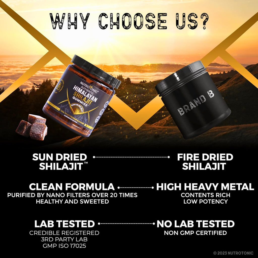 Shilajit gummies support immune system