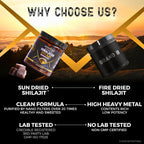 Shilajit gummies support immune system