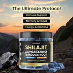 shilajit gummies support overall wellness