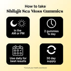 Shilajit gummies with antioxidants