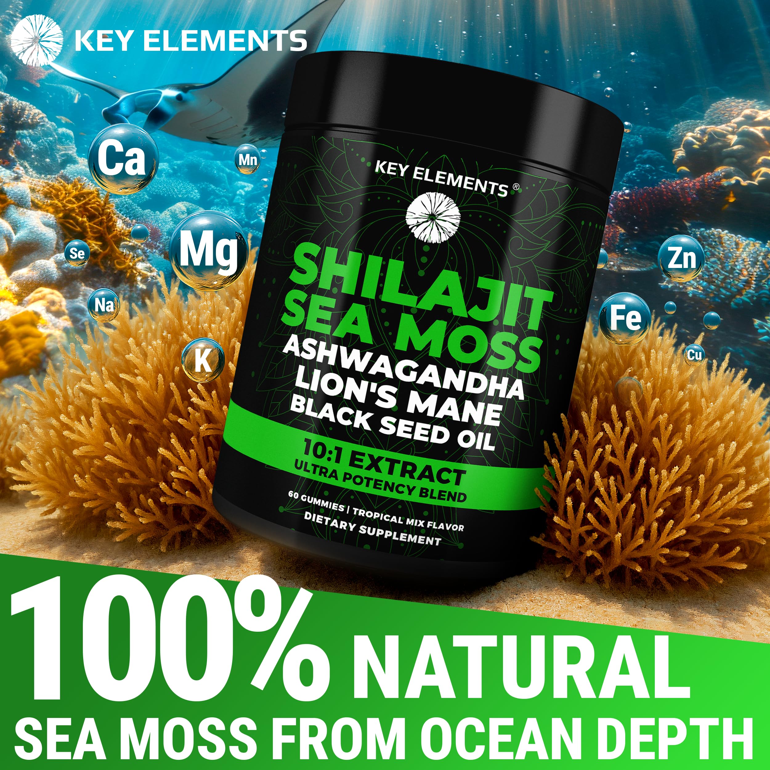 shilajit gummies with ashwagandha extract