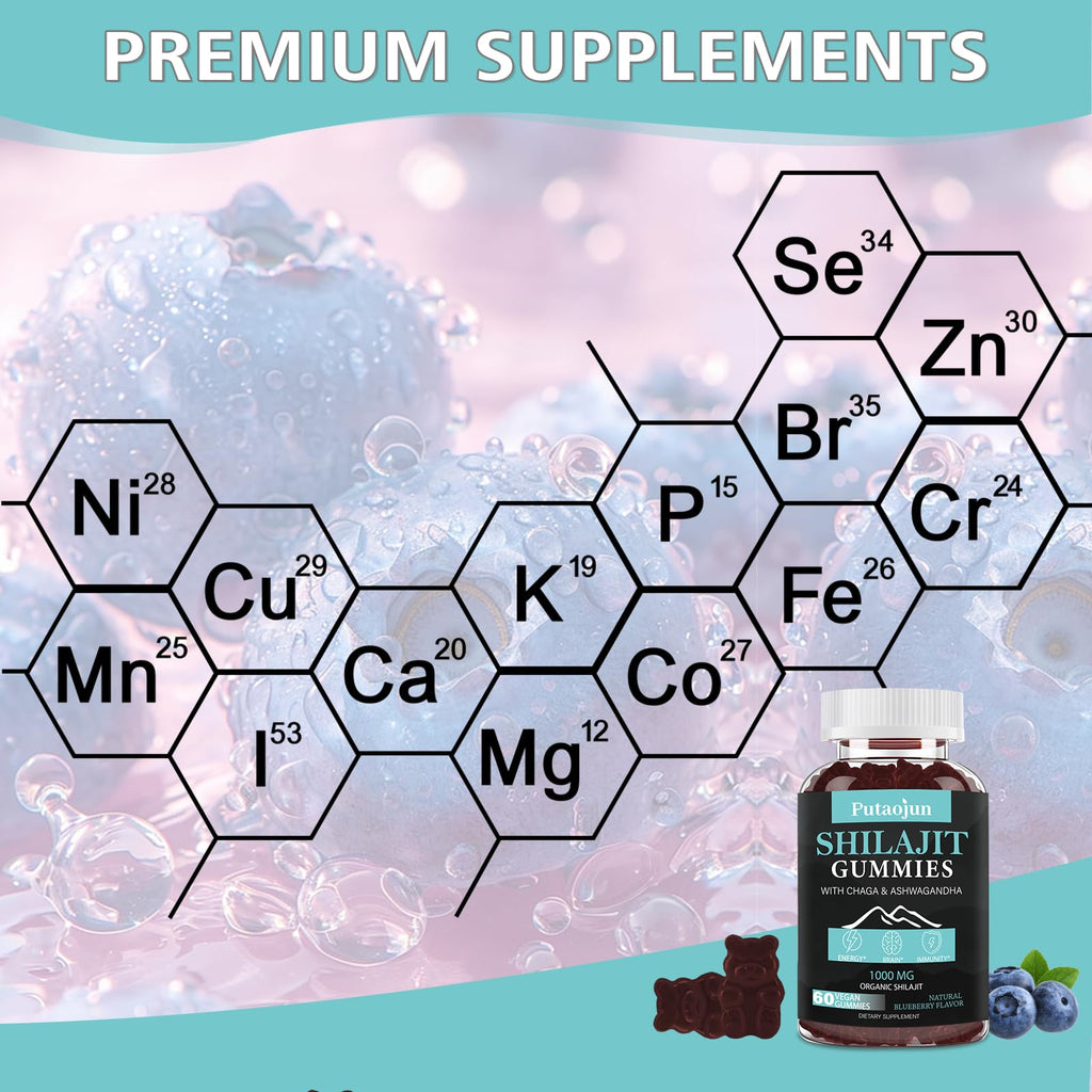 shilajit gummies with chaga mushroom