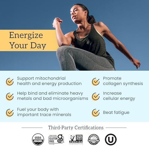 Shilajit gummies with PrimaVie benefits