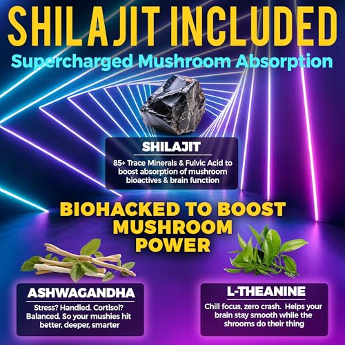 shilajit infused mushroom gummies for energy