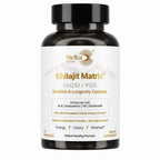 Shilajit Matrix+ multivitamins for energy