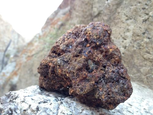 Shilajit natural supplement for recovery