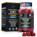 Shilajit Plus Gummies multivitamins for energy